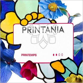 Magasin Made In Design by Printemps Lille